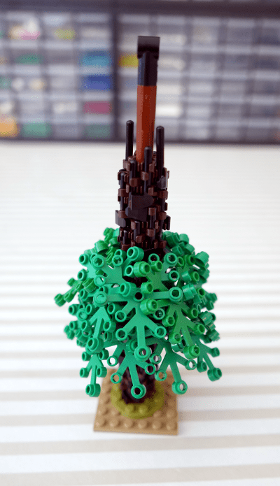 Spruce Tutorial | Full Plate Builds