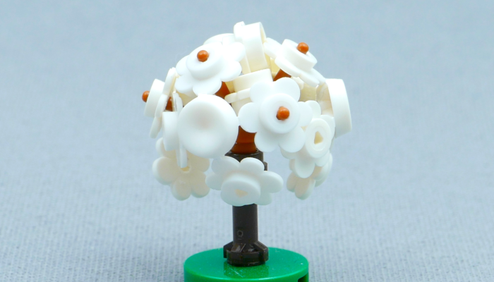 Element Experimentation: Cherry Blossom | Full Plate Builds