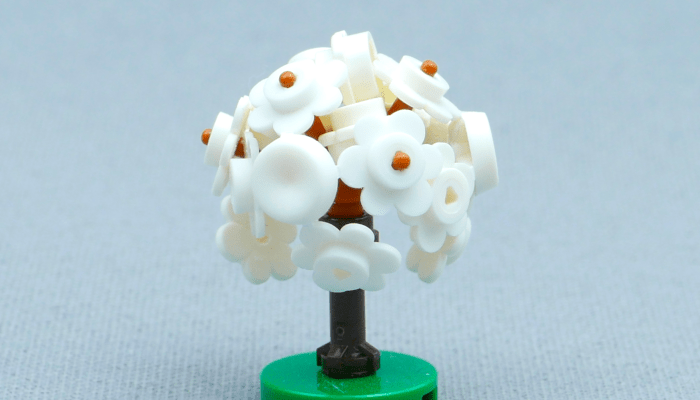 Micro Trees | Full Plate Builds